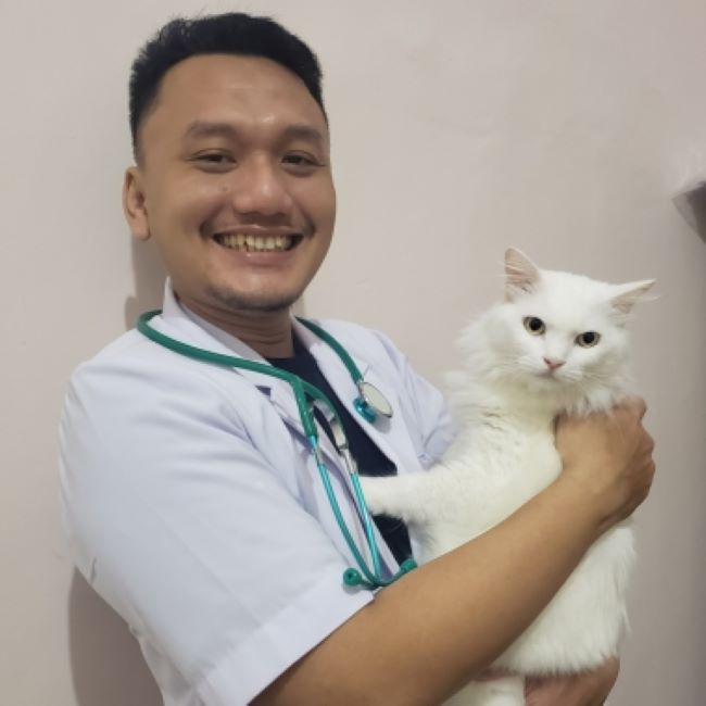10 Dokter Hewan Semarang Panggilan, Rating Tertinggi dan Buka Sekarang ...